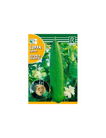 SEMILLA CALABAZA LUFFA ( ESPONJA VEGETAL) 3GR